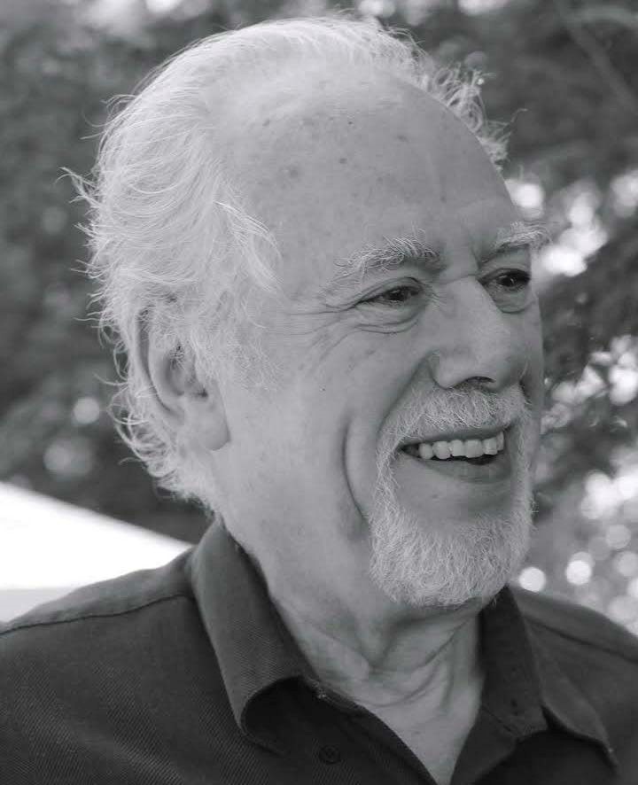 In Honor of Peter L. Strauss - Columbia Law Review